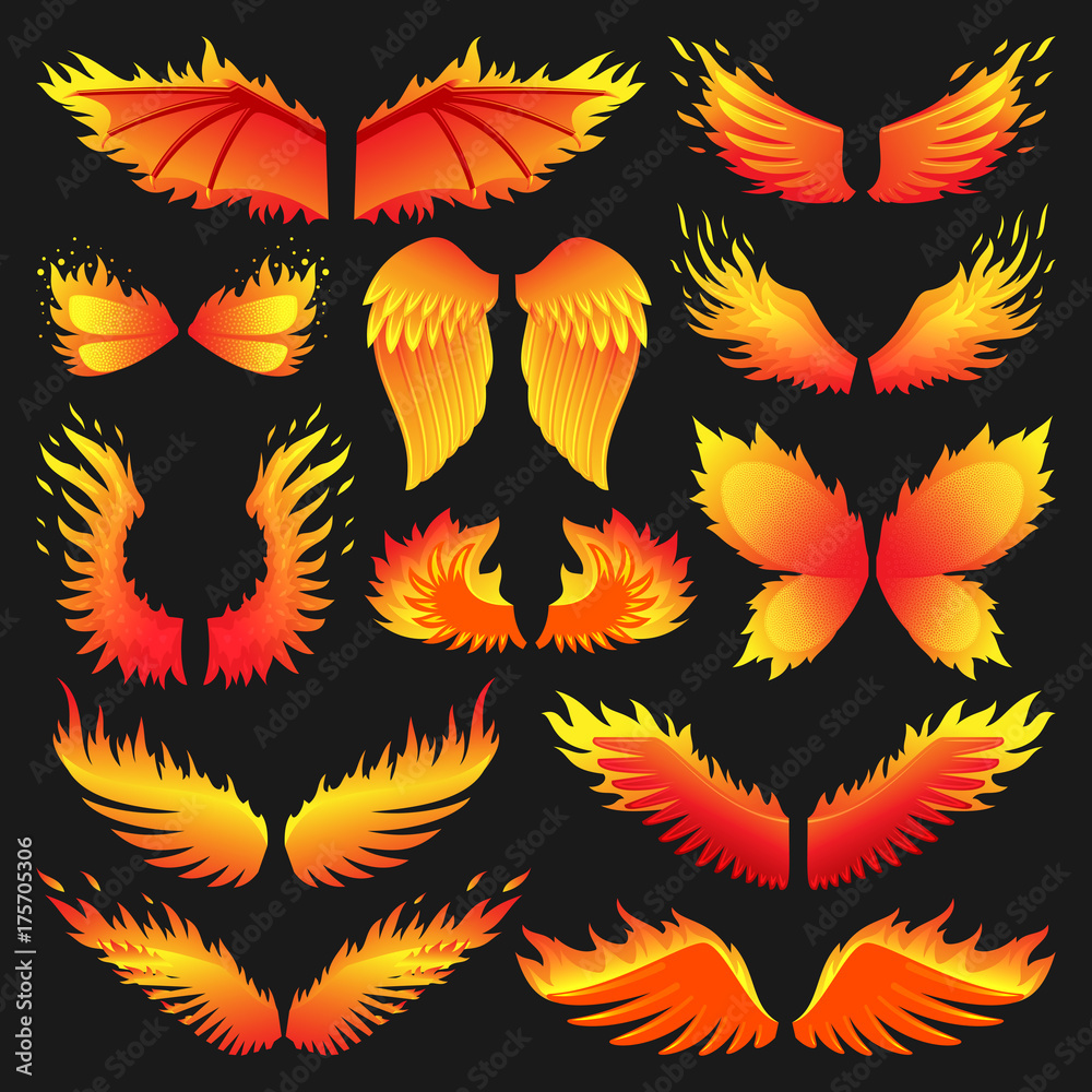 Flame bird fire wings fantasy feather burning blaze fly blazing danger ...