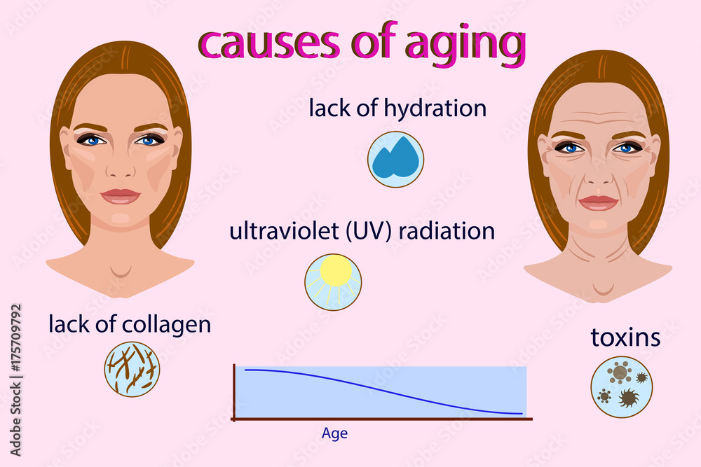 Causes of aging, vector illustration with two faces and small pictures ...