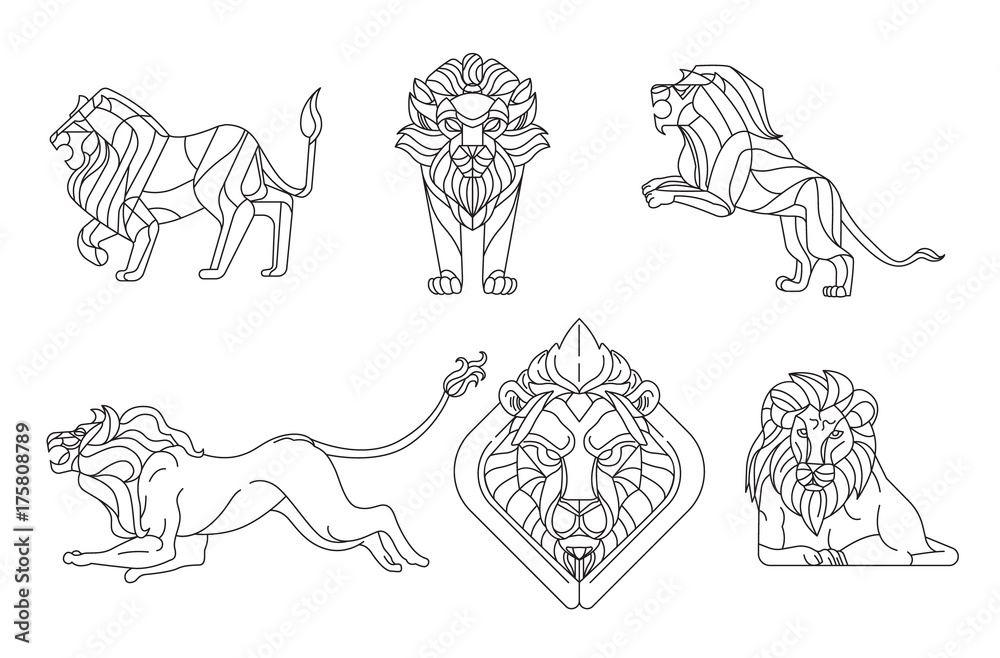 lion, Line vector, sign and symbol, Vector illustration. Stock Vector ...