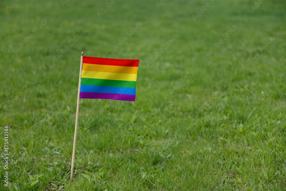 Rainbow flag. LGBT (Lesbian, Gay, Bisexual, Transgender) movement flag ...