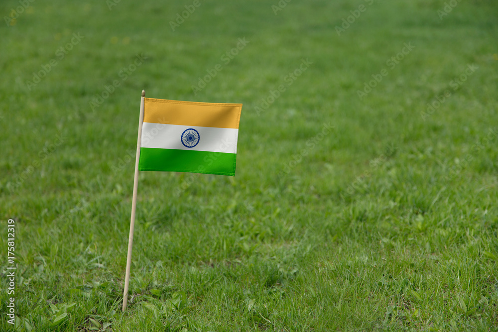 India flag, Indian flag on a green grass lawn field background ...
