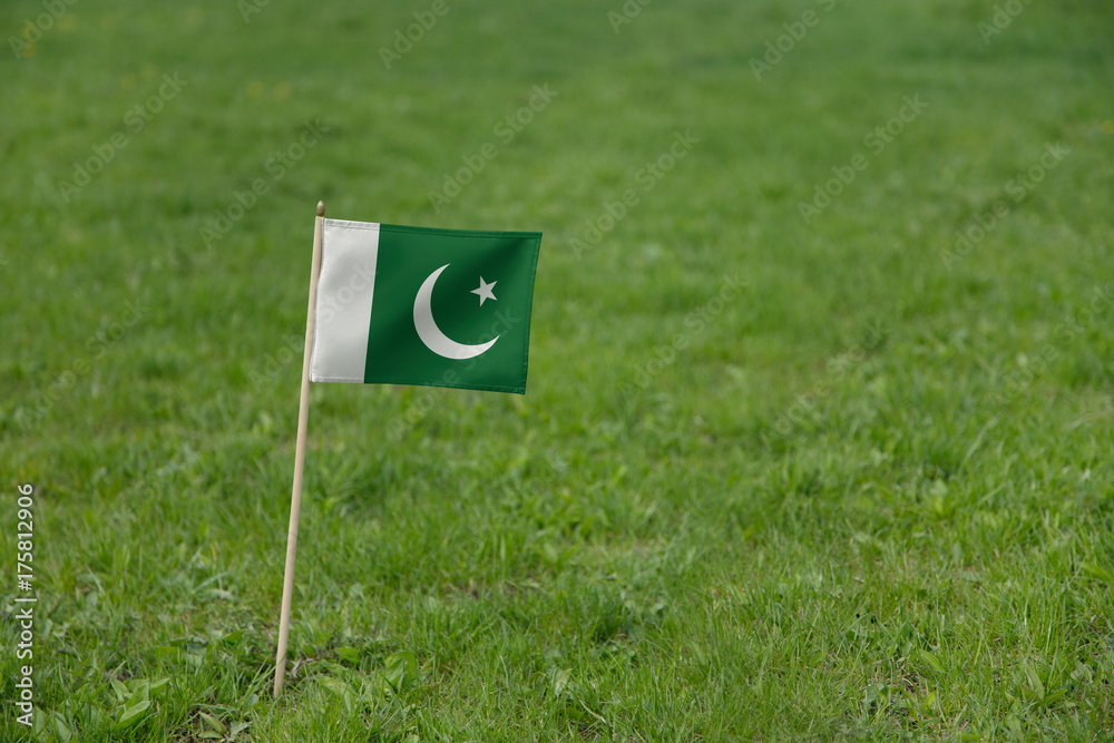 Pakistani Green Flag