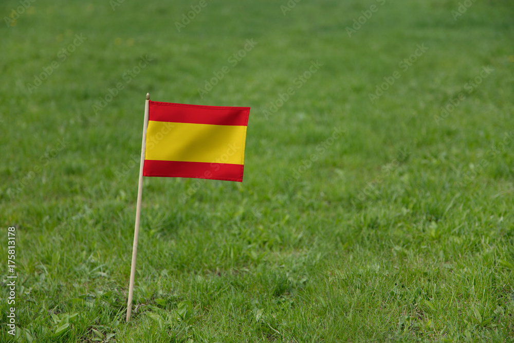 Spain flag, Spanish flag on a green grass lawn field background ...