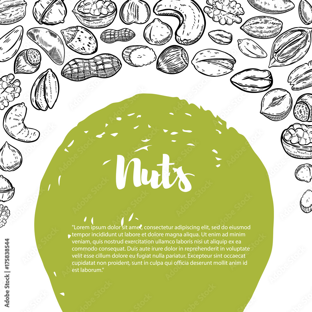 Nuts. Flyer template with border from nuts illustrations. Stock Vector ...