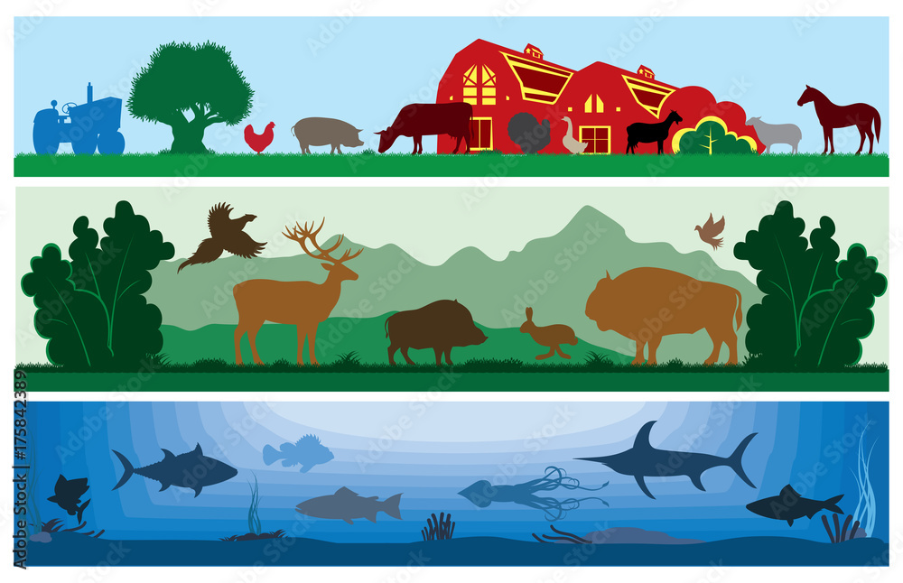 set of black and white vector landscapes wildlife, farm, marine life ...
