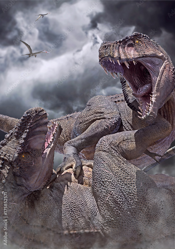 3D rendering of two Tyrannosaurus Rex fighting each other with a pair ...
