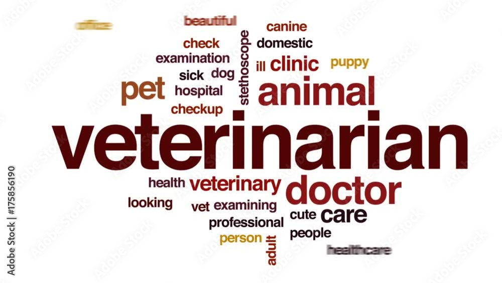 Veterinarian animated word cloud, text design animation. Stock Video ...