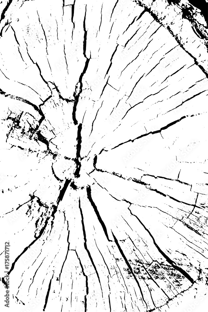 Distressed halftone grunge vector texture - wood trunk scratch ...