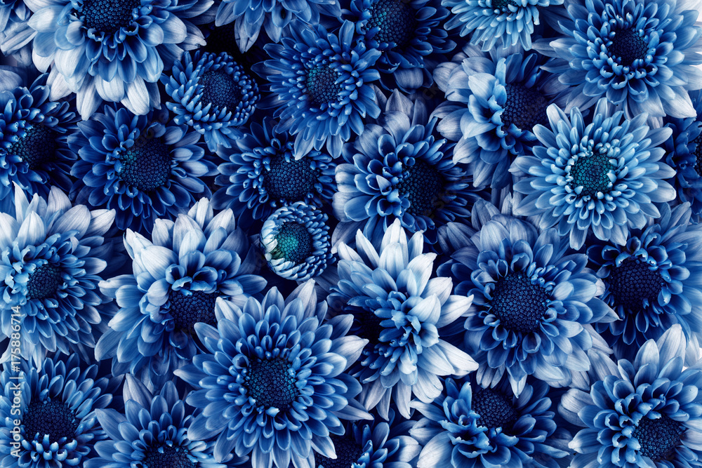 Blue Flower Texture Background