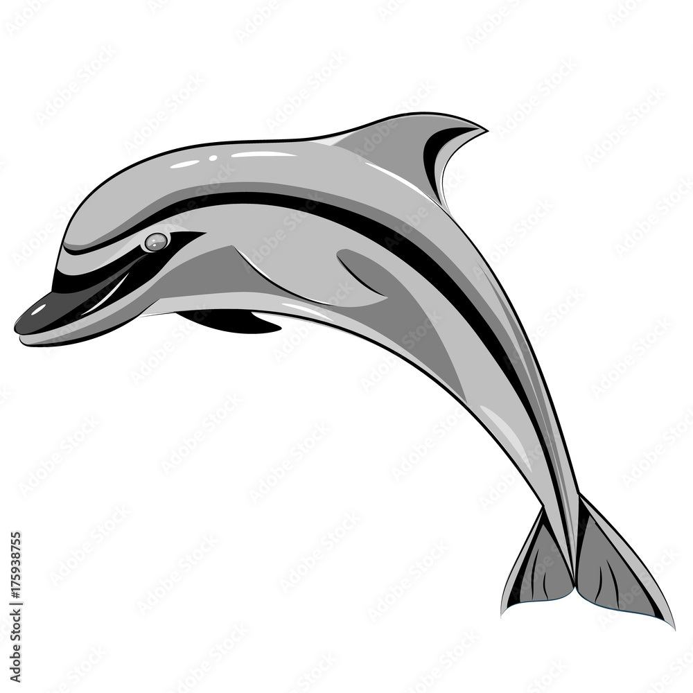 Vector illustration of a dolphin on a transparent background Stock ...
