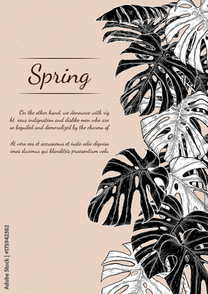 Monstera sketch by hand drawing.Monstera invitation vector card on ...