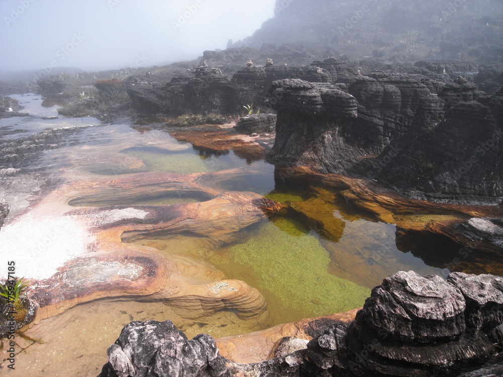 Mount Roraima Pools