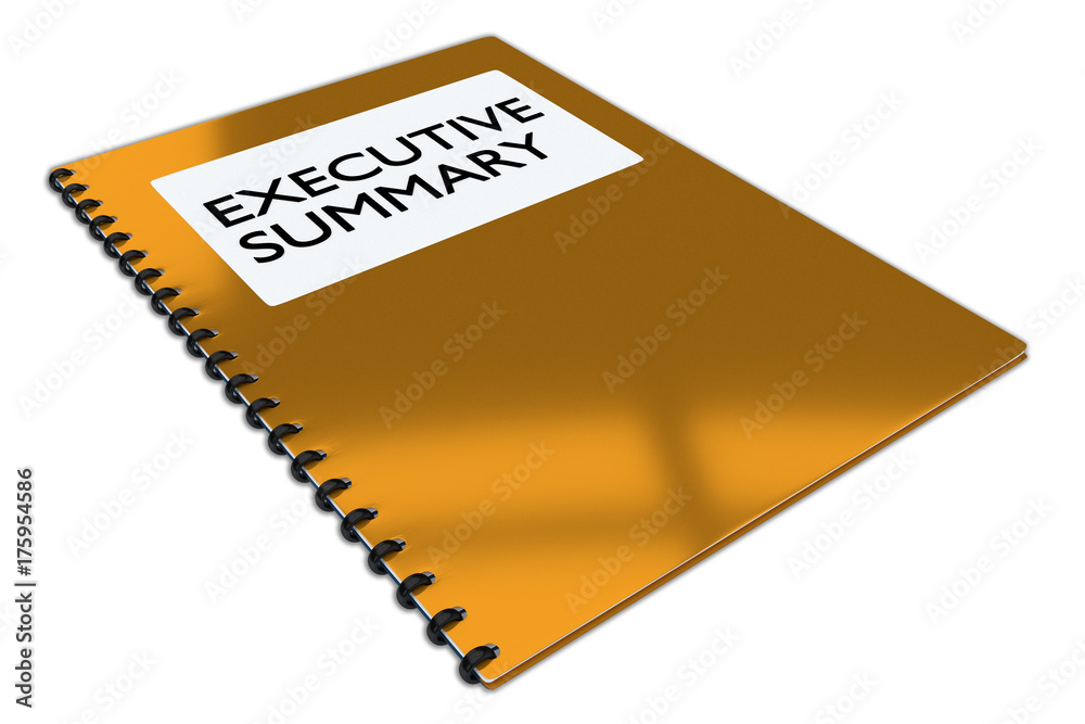 Executive Summary concept Stock Illustration | Adobe Stock
