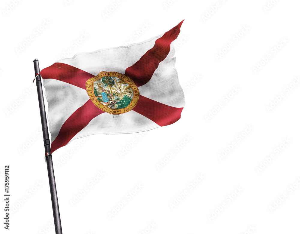 Drapeau de Floride (USA) sur fond blanc Stock Illustration | Adobe Stock