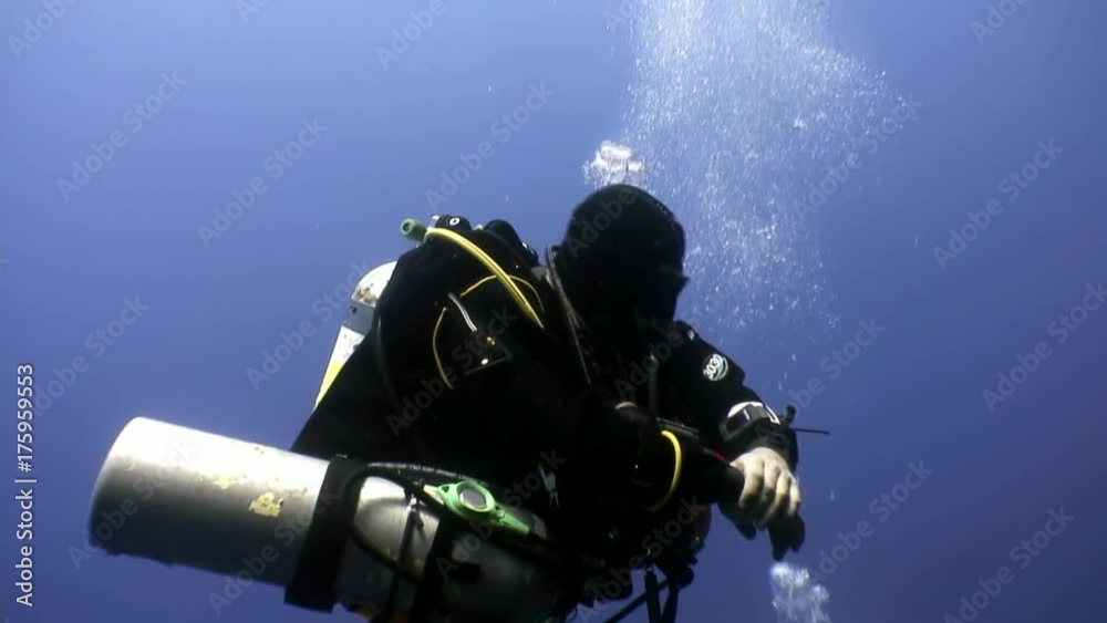 Vidéo Stock Scuba diver swimming deep underwater in Red sea. World of ...