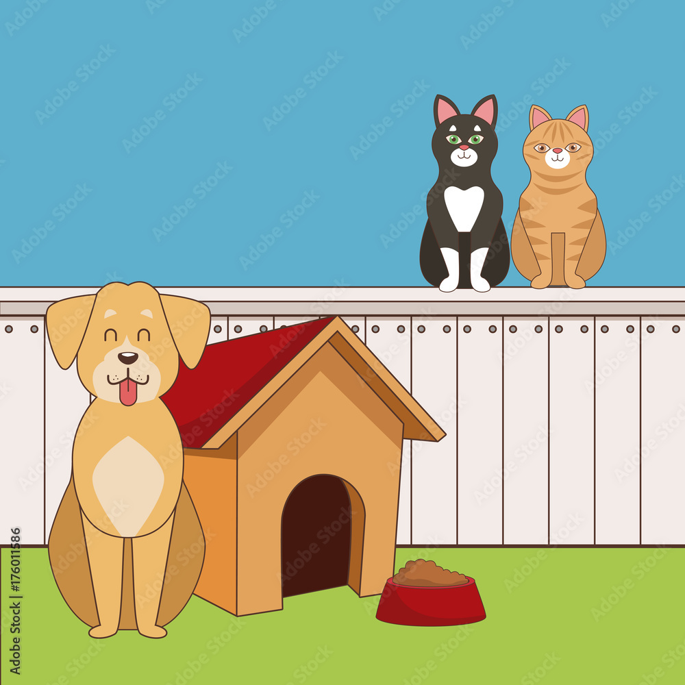 Cute pets cartoon icon vector illustration graphic design Stock Vector ...