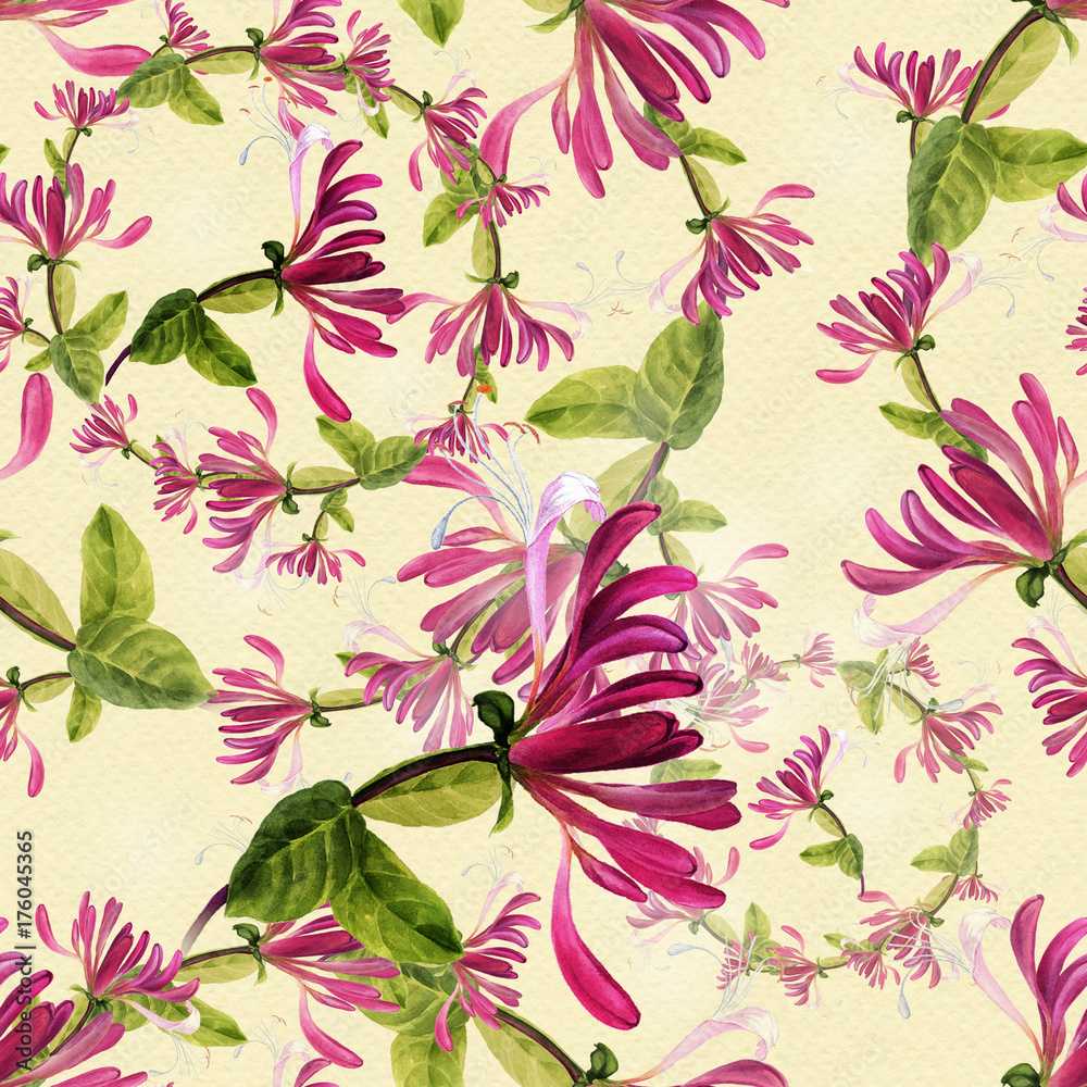 Honeysuckle. Seamless pattern. Flowers and leaves.Floral motifs. Use ...