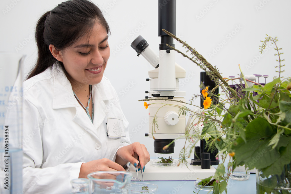 Young botanist at work, preparing fresh plant sample and examining ...