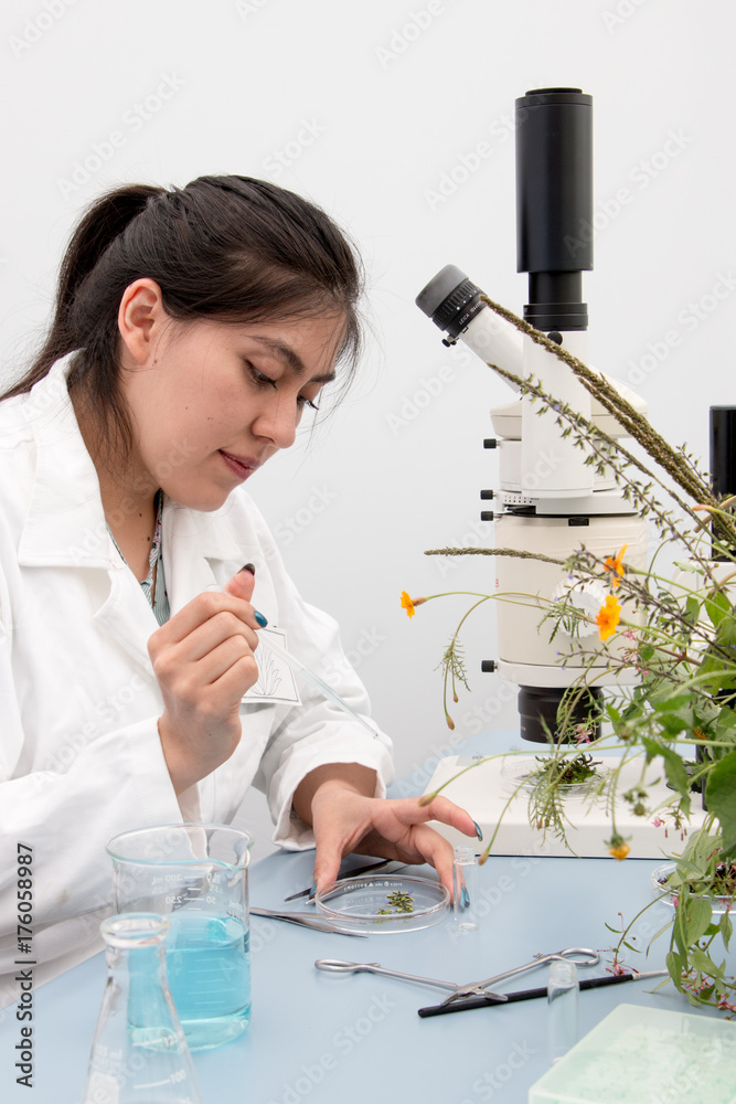 Young botanist at work, preparing fresh plant sample and examining ...