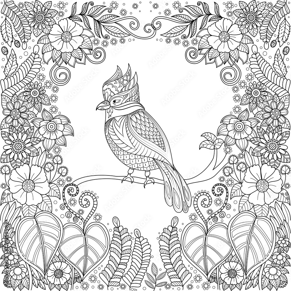 Tropical bird zentangle in jungle with flowers for adult coloring book ...