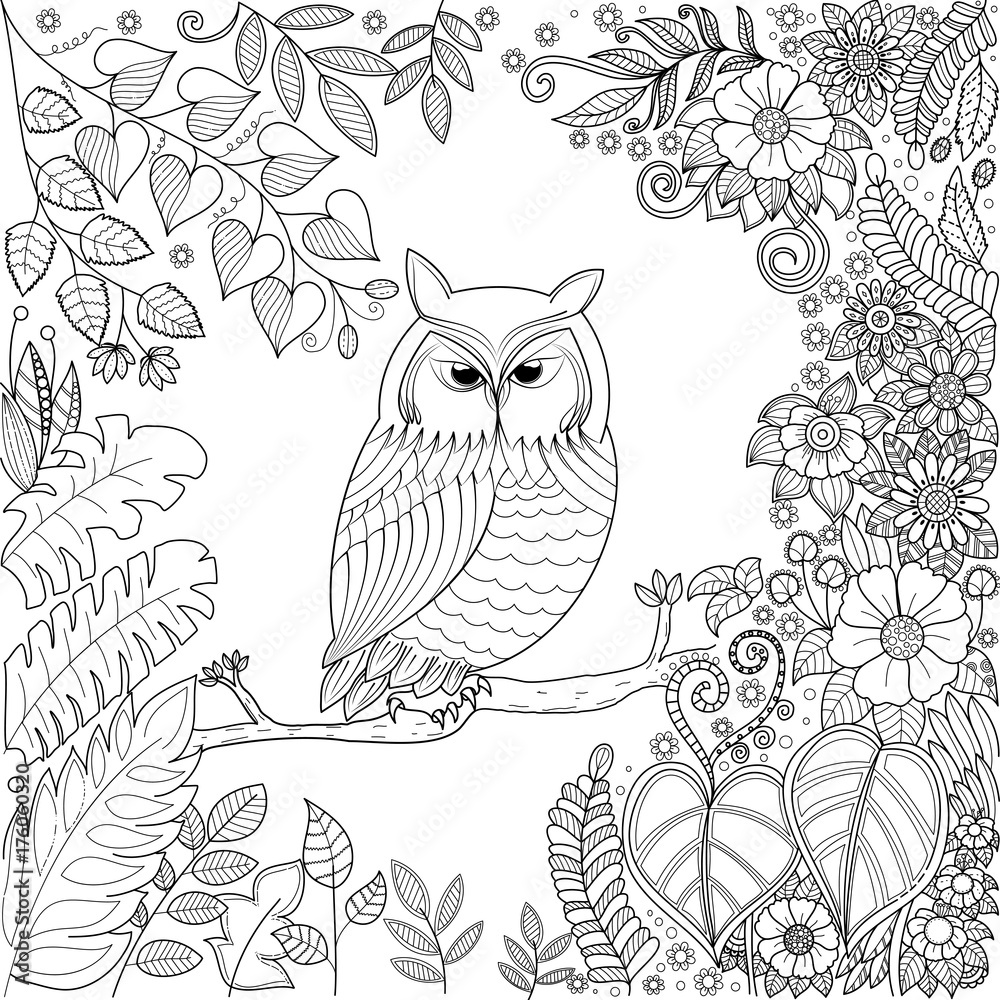 Owl Patterns Coloring Pages