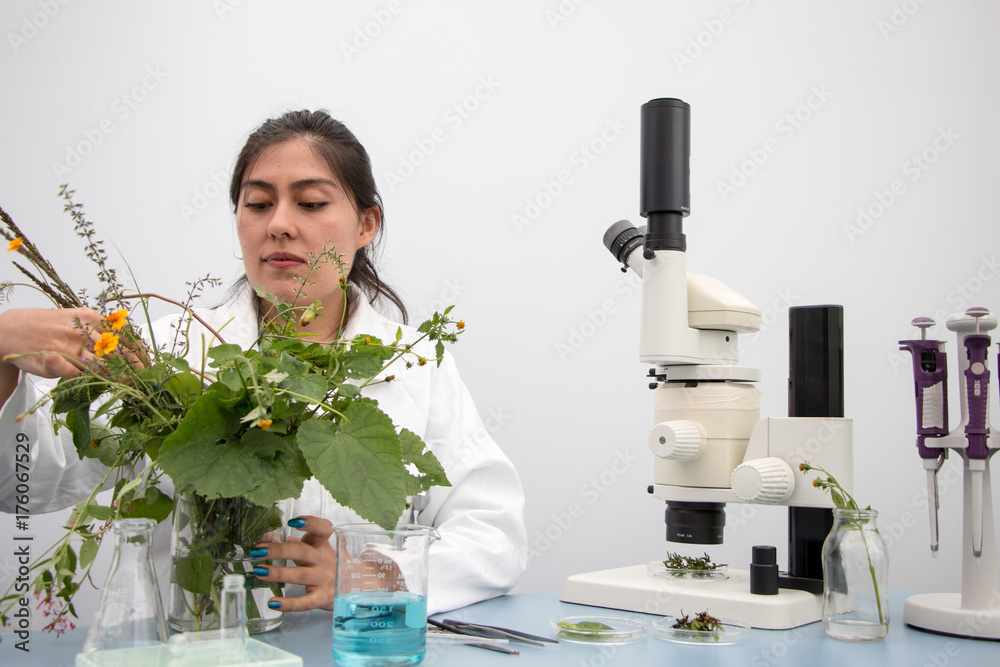 Young botanist at work, preparing fresh plant sample and examining ...