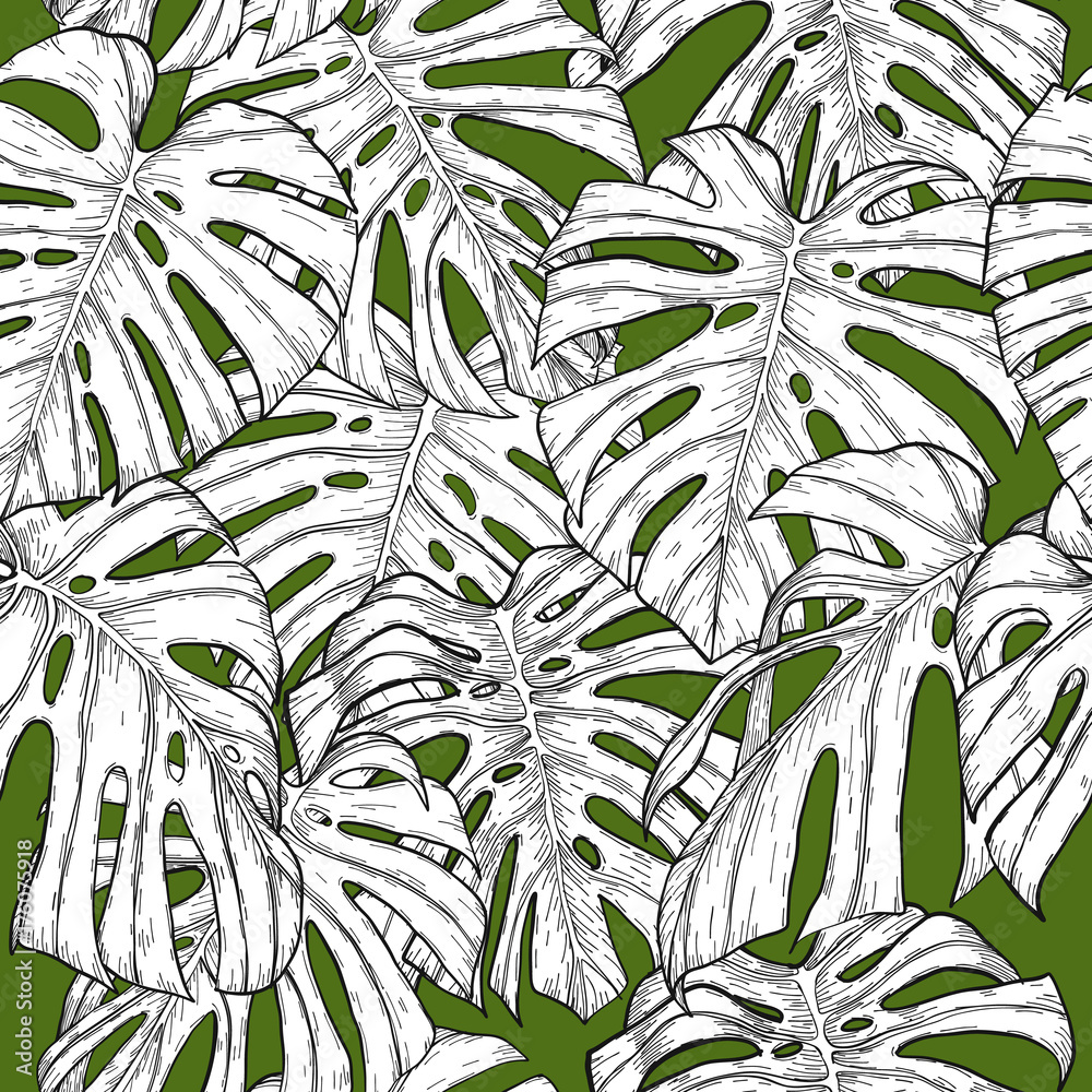 Monstera pattern by hand drawing.Monstera vector seamless on vintage ...