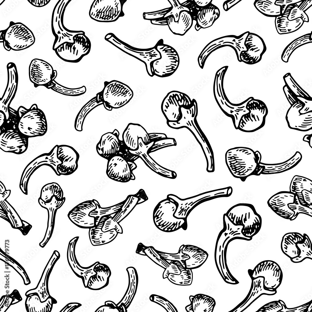 Clove seamless pattern. Vector drawing. Hand drawn sketch. Seasonal ...