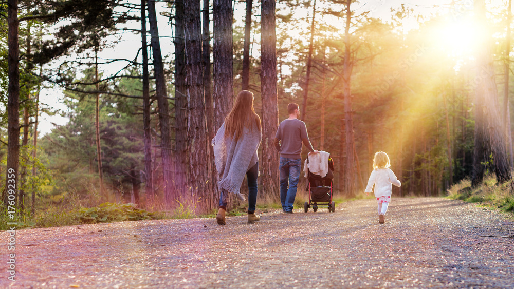 Happy young family taking a walk in a park, back view. Family holding ...