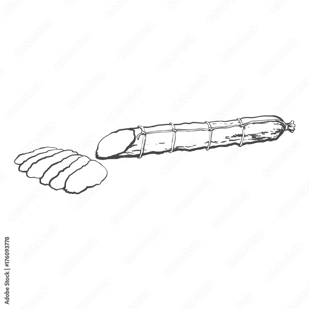 vector sketch chorizo sausage with slices. Cartoon isolated ...