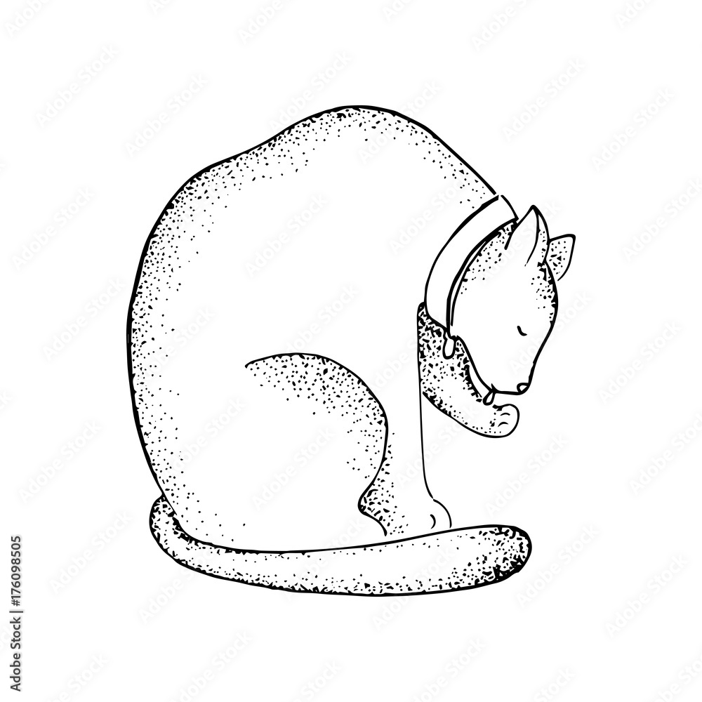 Fat cat in collar line art vector illustration. Lazy cat with dot ...