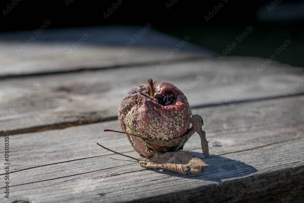 Rotten apple on rustic table. Not like everyone else. Сoncept of aging ...