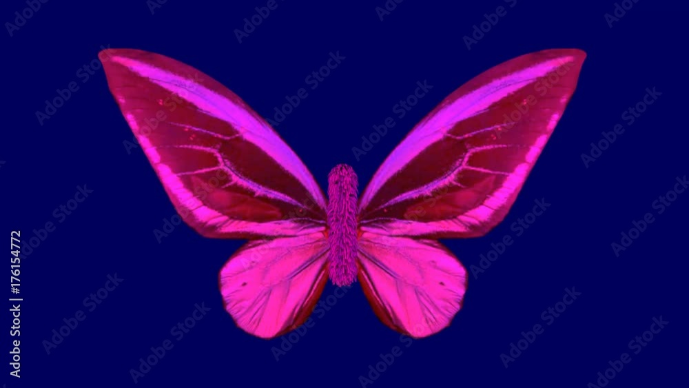 Vibrant purple butterfly in slow motion , stylized 3d animation ...
