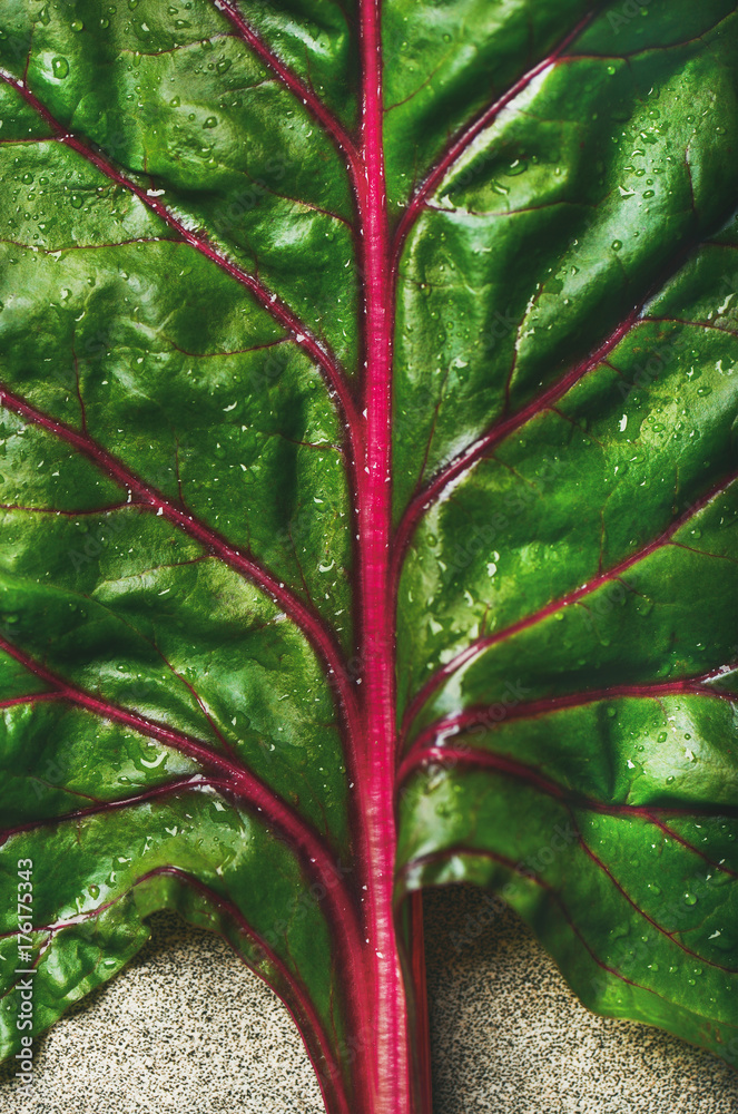 Close-up of fresh swiss chard green leaf over grey concrete stone ...