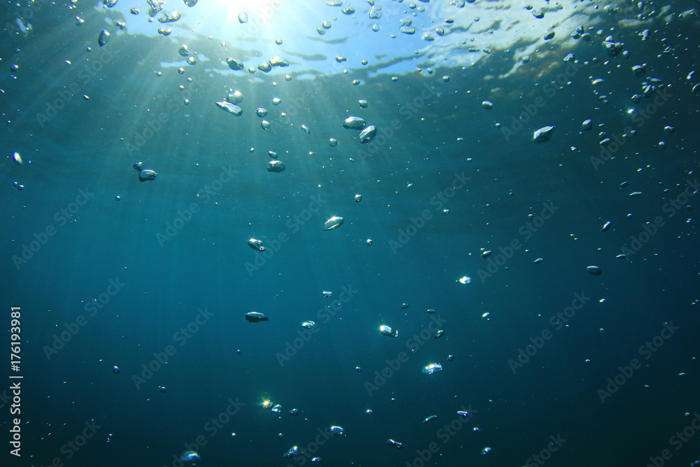 Underwater bubbles Stock Photo | Adobe Stock