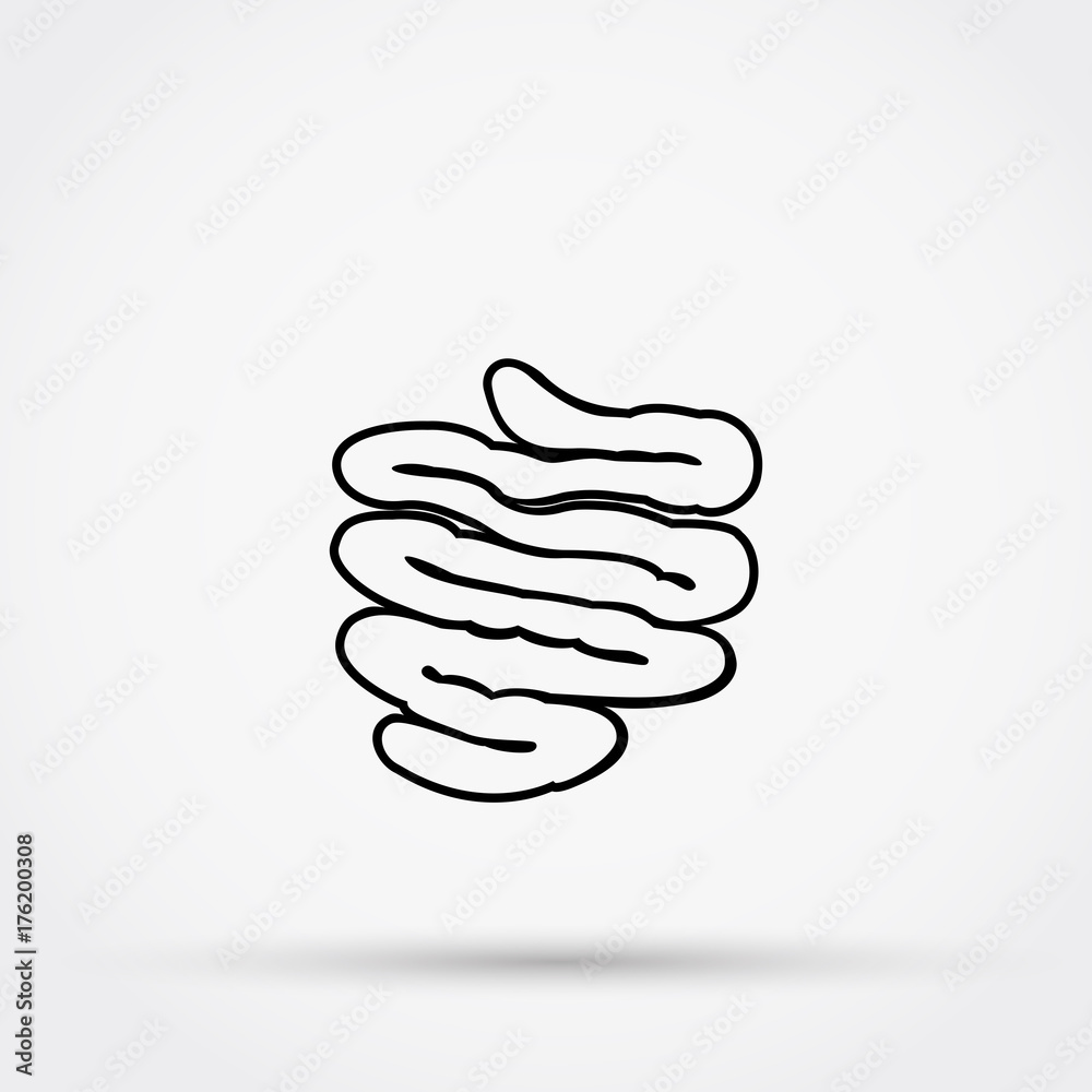 Outline small intestine vector icon. Stock Vector | Adobe Stock