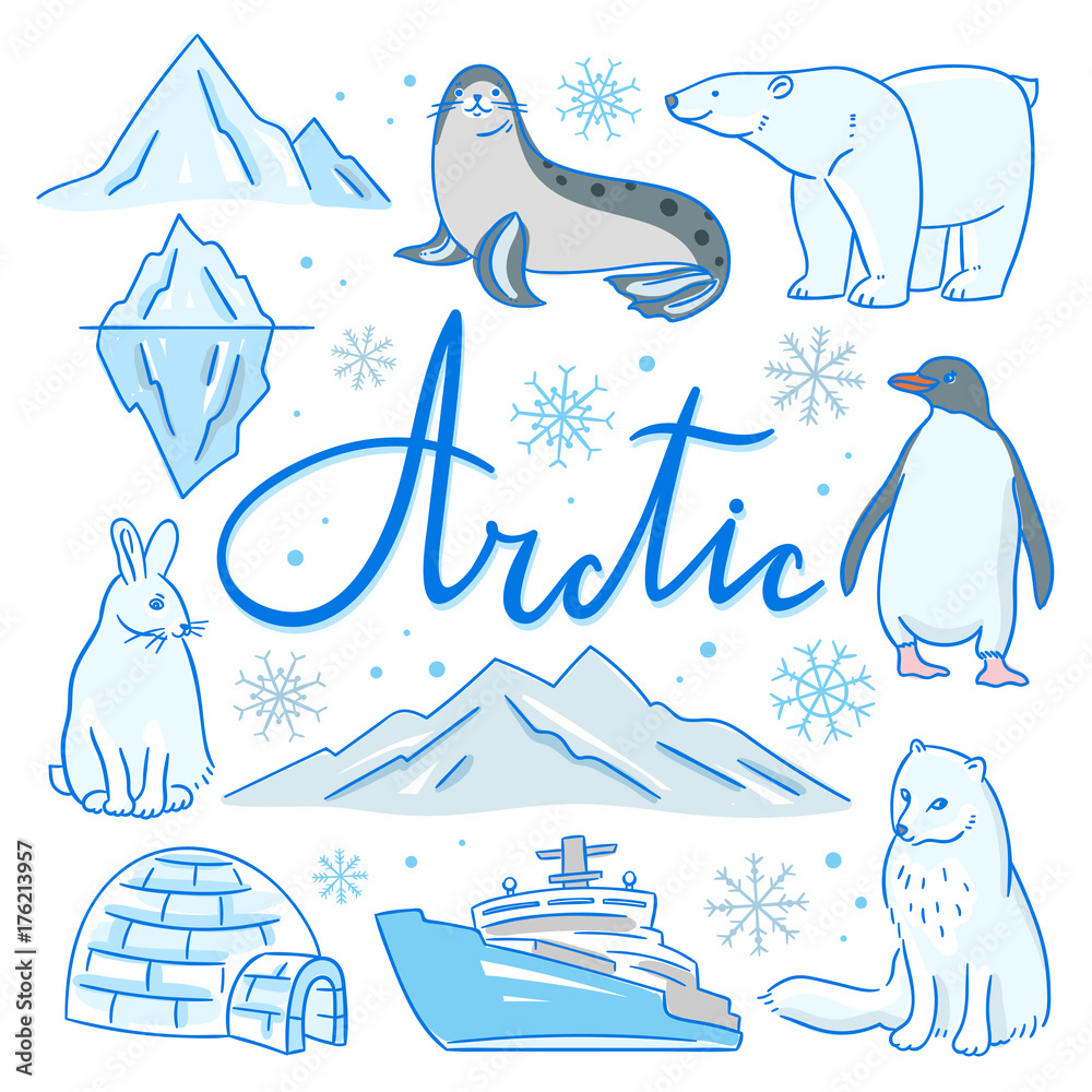 Arctic Vector