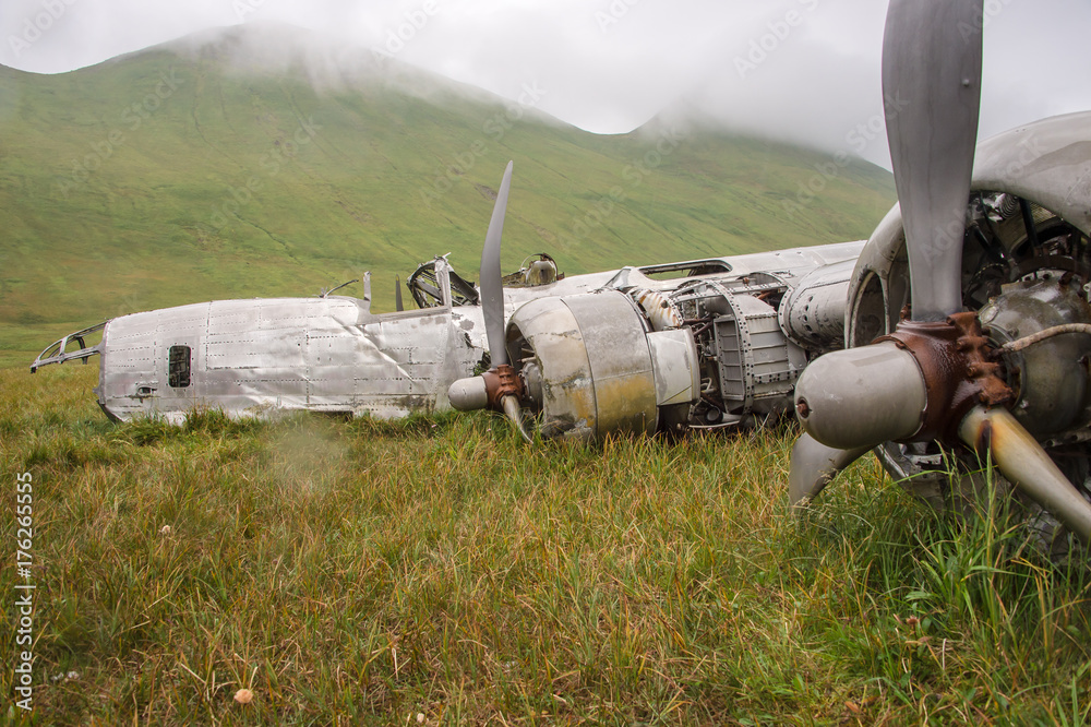 Fotka „B-24D Liberator wreck on Atka Island, Alaska“ ze služby Stock ...