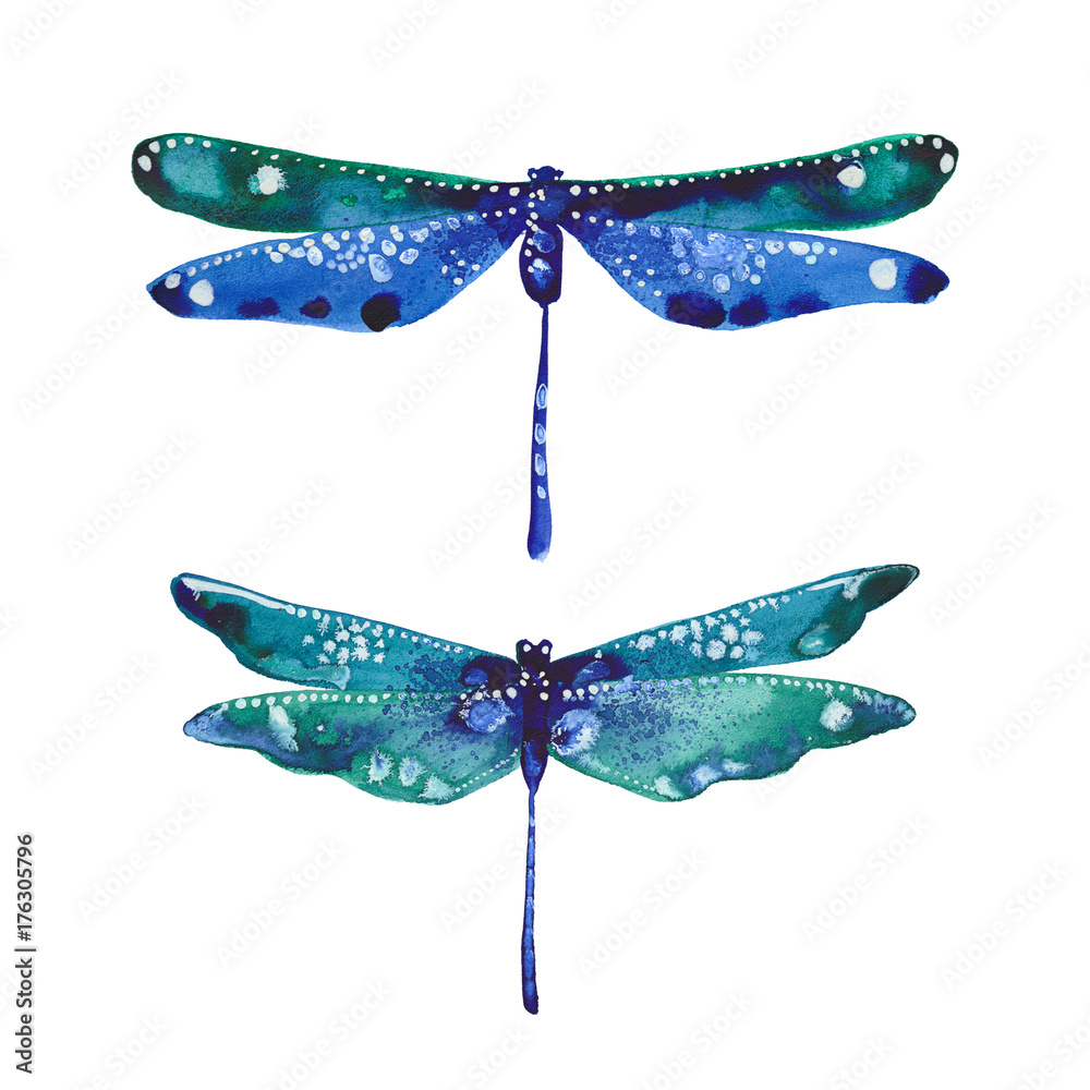 watercolor two dragonflies Stock Illustration | Adobe Stock