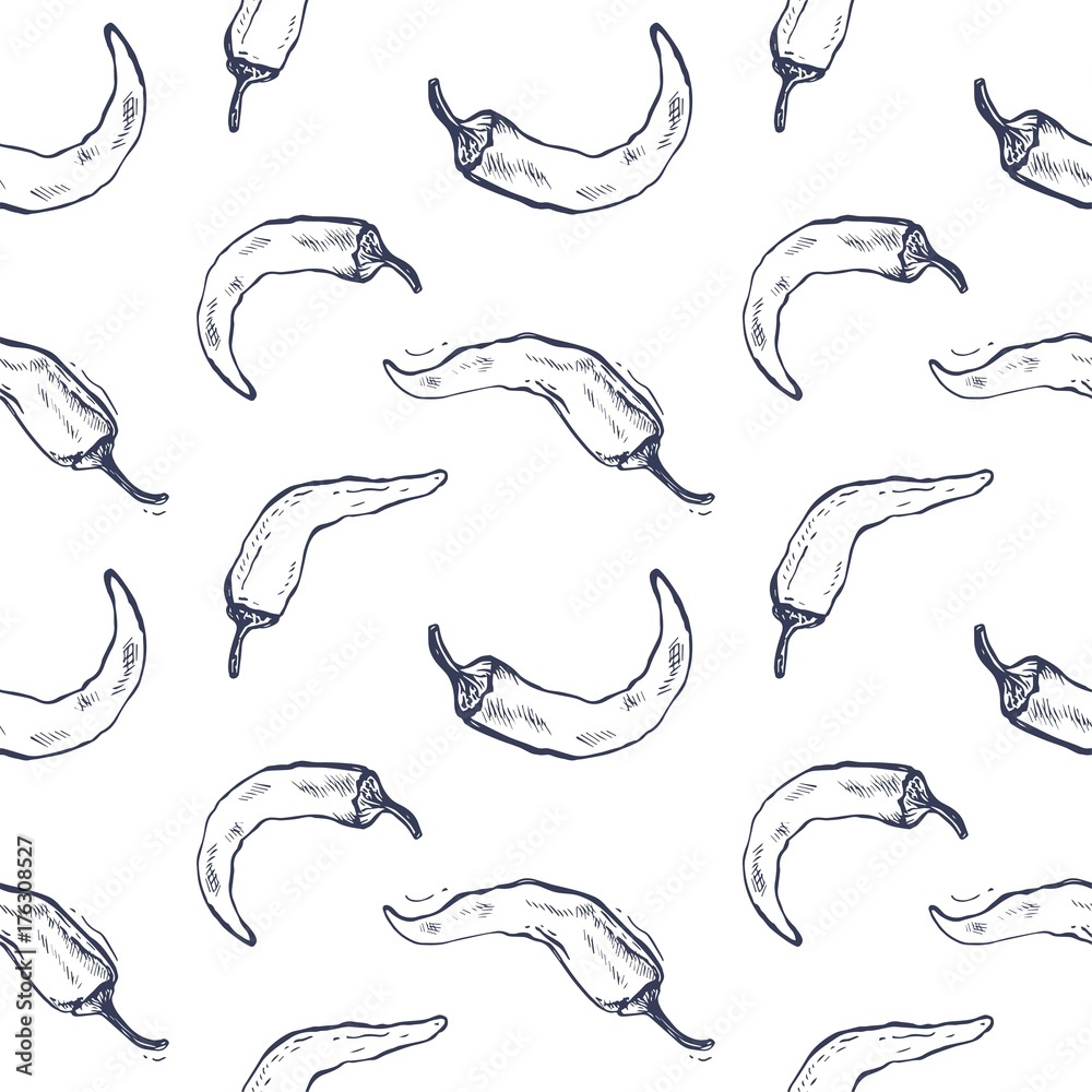 Chilly pepper, chilli Vector hand drawn vector illustration. Fresh ...