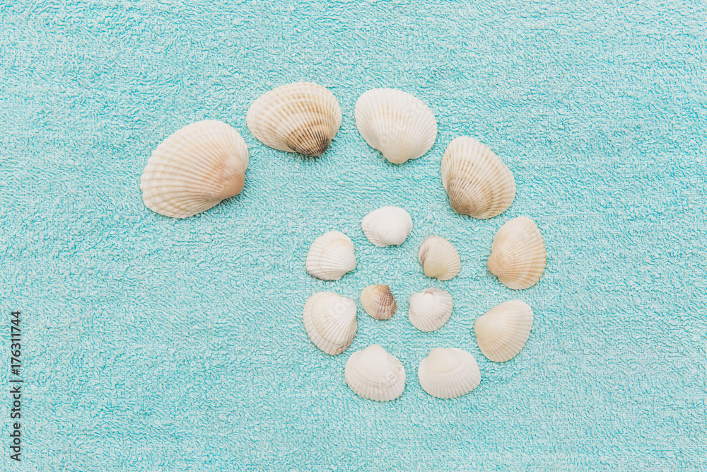 Creative snail of shells, spiral of shells, beautiful white shells of ...