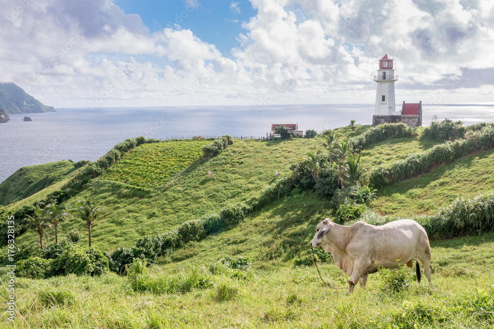 Lighthouse at Mahatao Hill, Batan Island , Batanes Stock Photo | Adobe ...