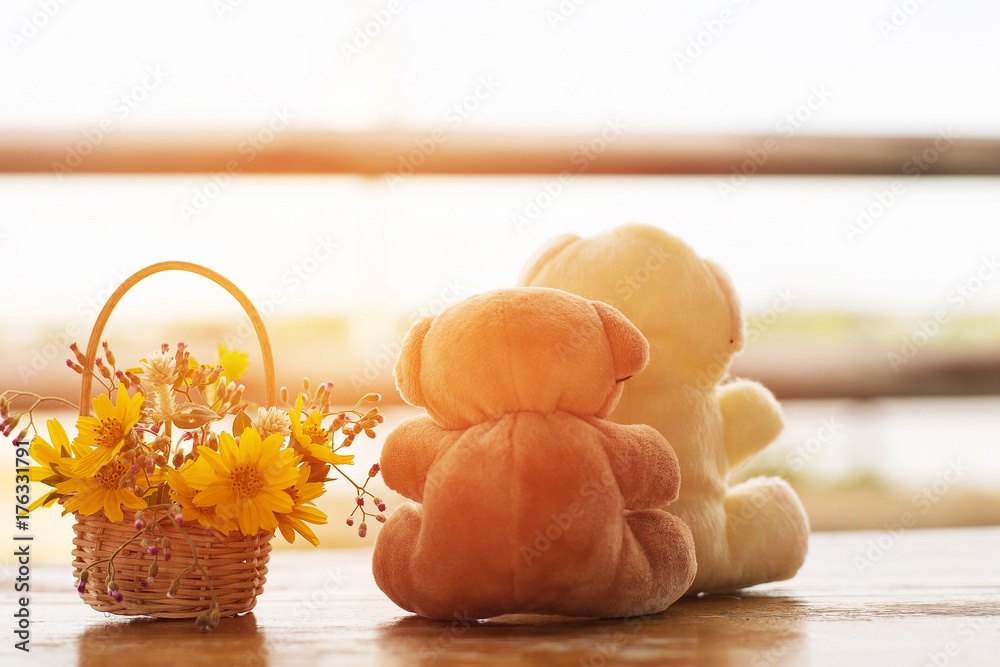 Tow Teddy Bear Sweet couple and flares orange./Tow Teddy Bear sweet ...