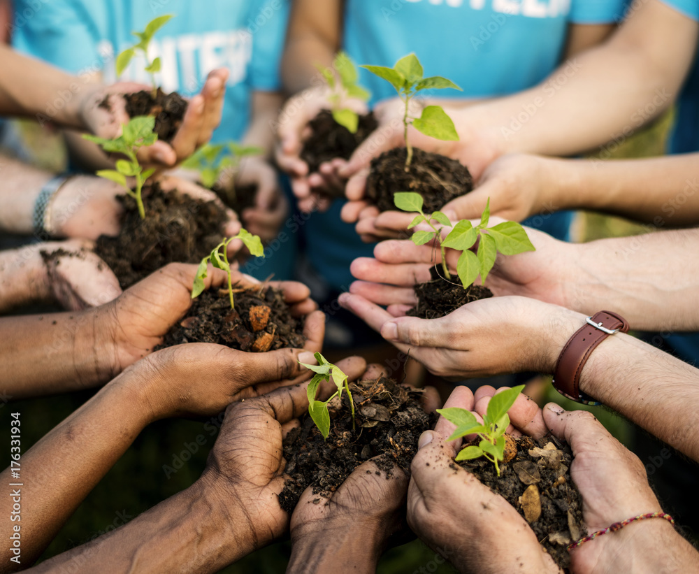 Group of environmental conservation people hands planting in aerial ...