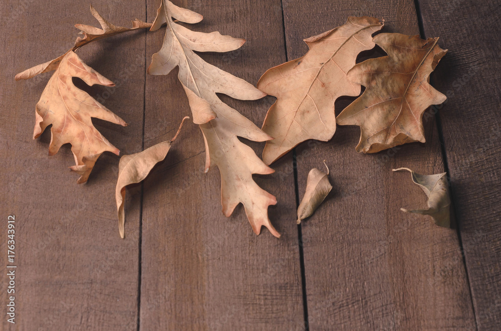 Frame of autumn leaves with copy space Stock Photo | Adobe Stock