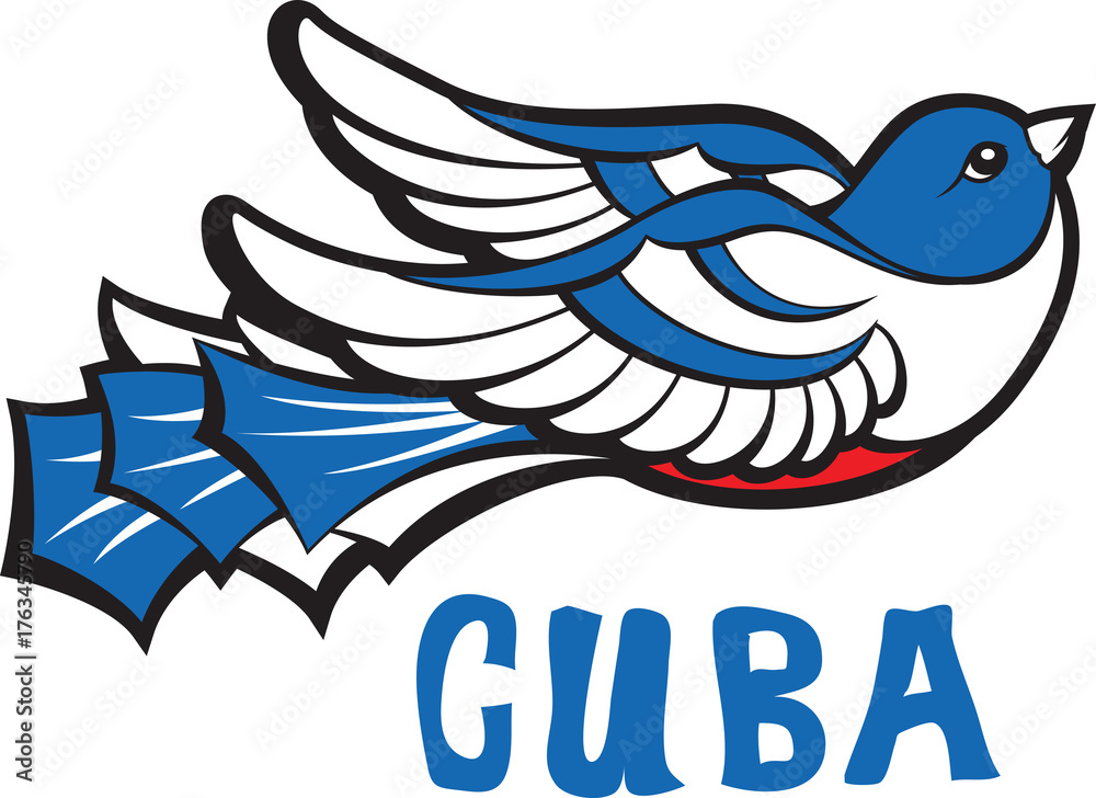 Cuban Birds