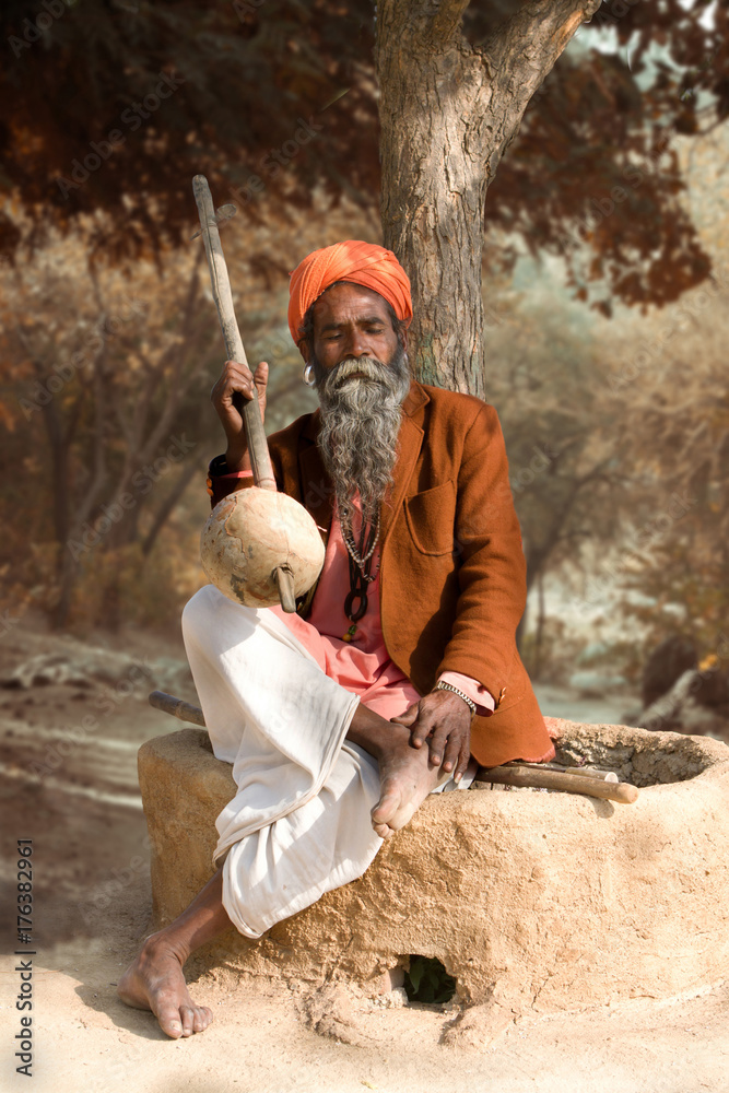 Indian Sadhu Stock Photo | Adobe Stock