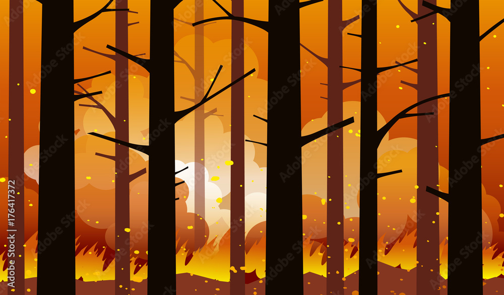 Burning forest fire with charred trees in silhouette. Natural disaster ...