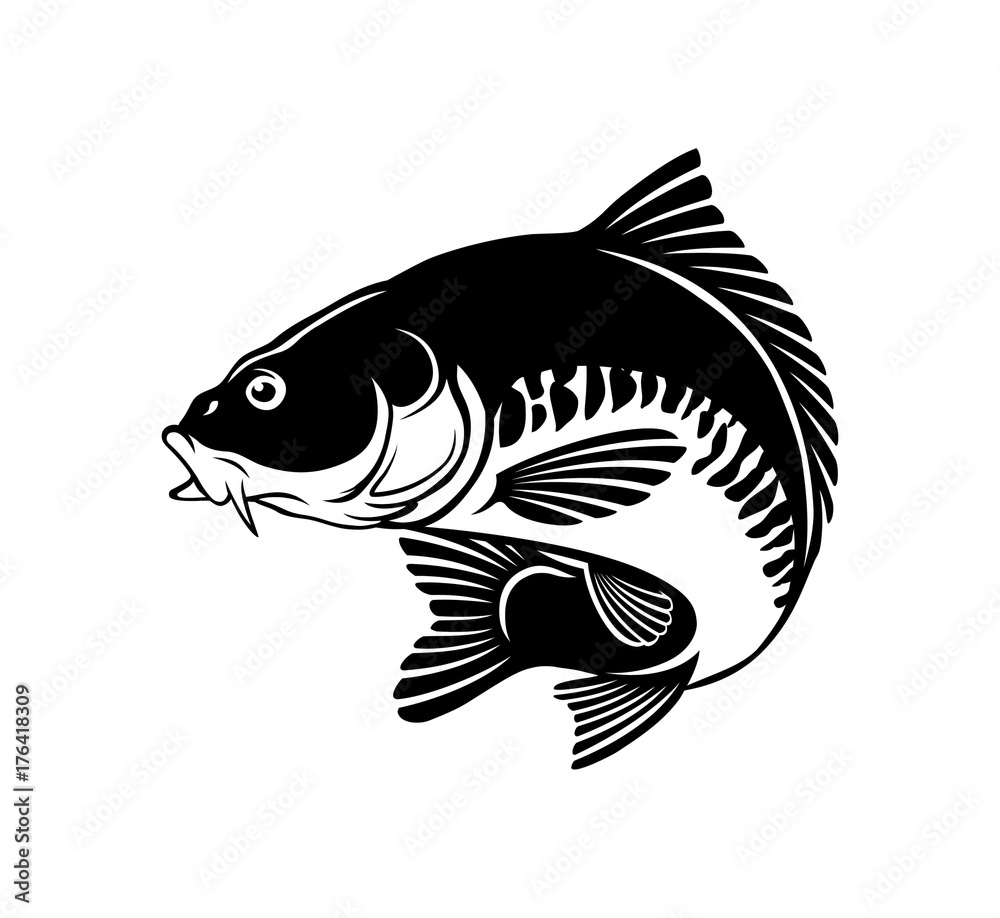 carp fish Stock Vector | Adobe Stock
