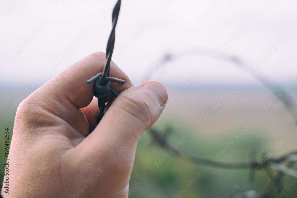Man's hand holding barbed wire on the background of green field, close ...